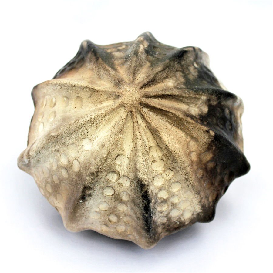 Sue Caddy | Artworks